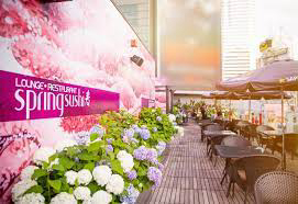 Order Spring Sushi Toronto (Patio) - 500 - 10 Dundas St E #4, Toronto